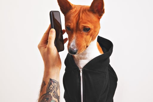 New AI Models Claim to ‘Talk to the Animals’ Like Dr. Dolittle: Here’s ...