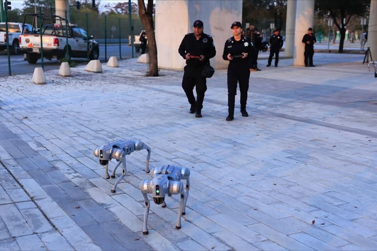 Meet the $300K Robot Dogs Guarding Massive Data Centers | eWeek